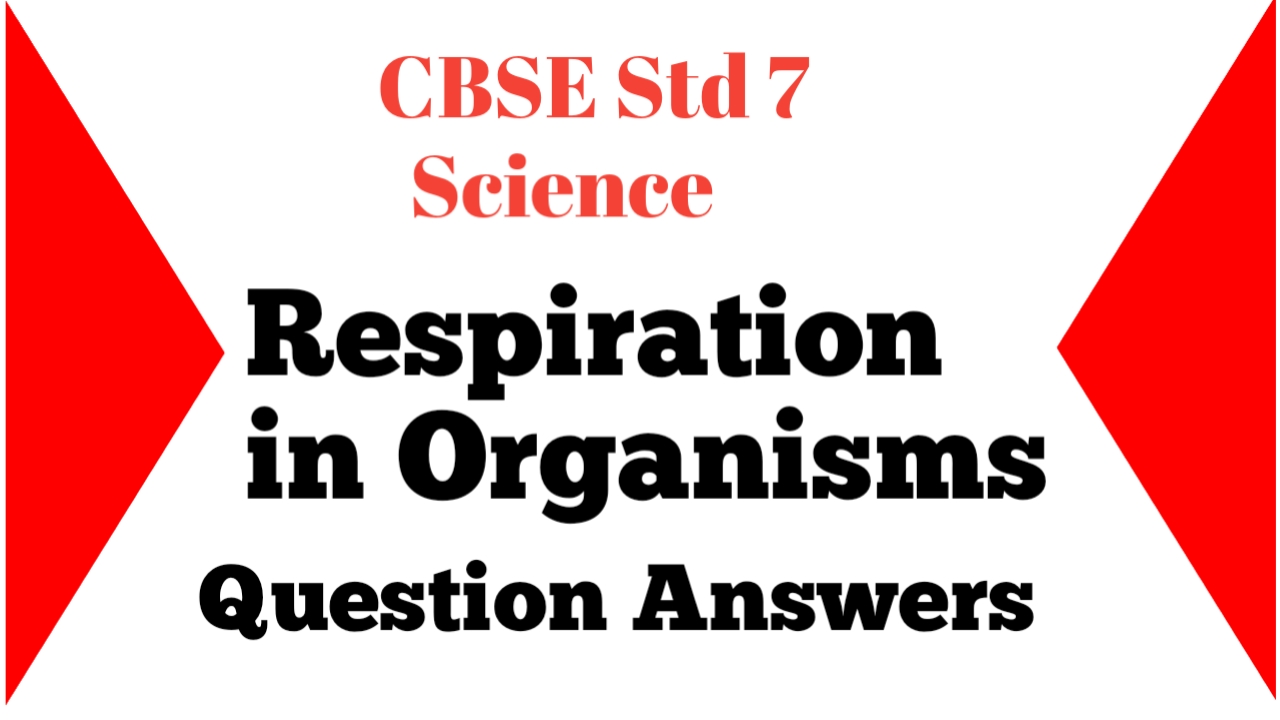 NCERT Solutions Std 7 Science Respiration in Organisms ...